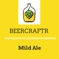 1 gallon beer recipes