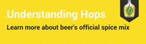 Understanding Hops: Beer's Spice Mix — BeerCraftr